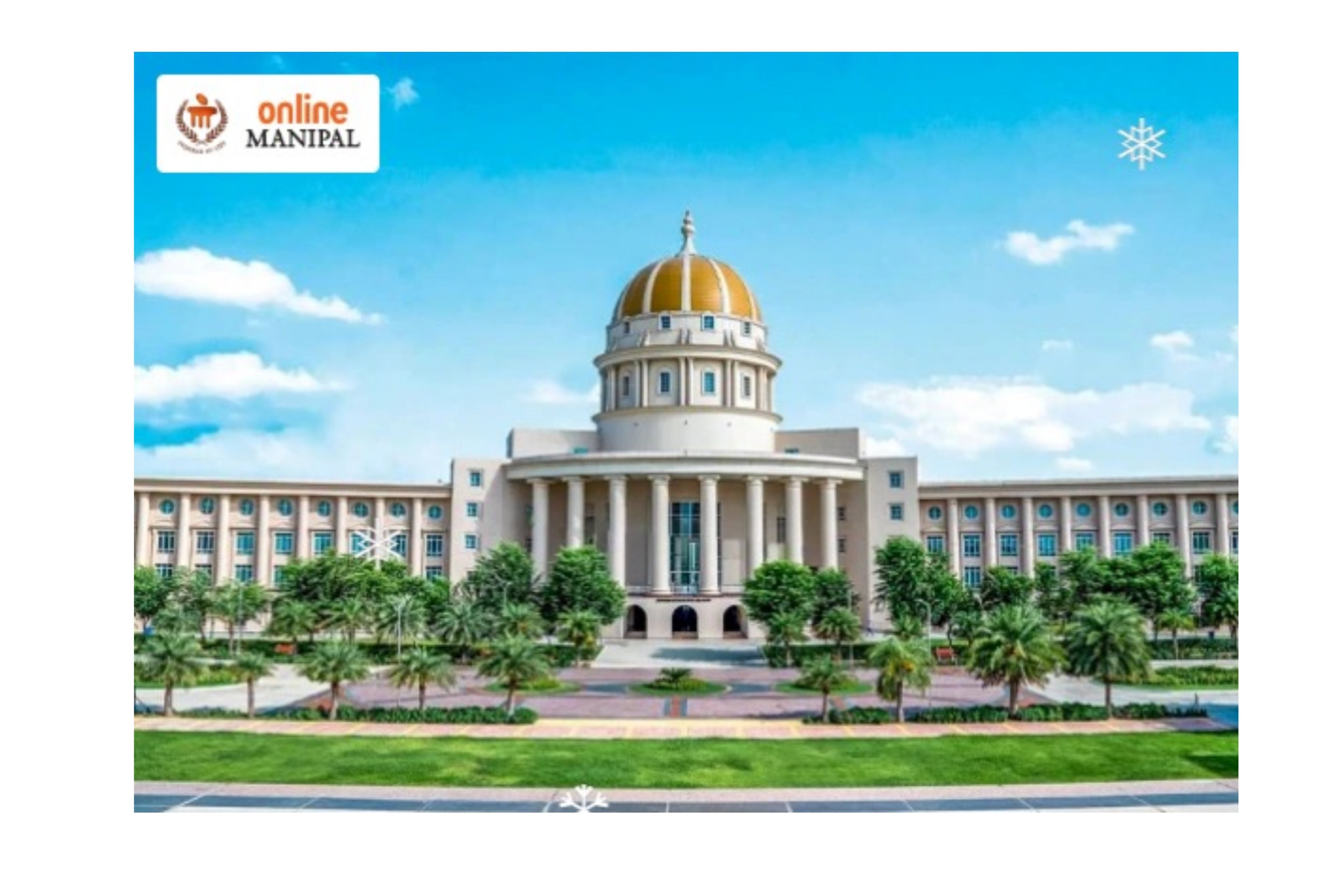 AVEDU - Best Online UG & PG Courses | Expert Counselling | avedu.in